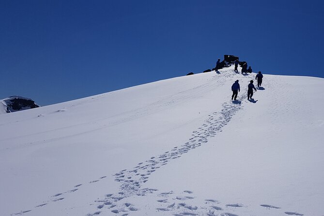 Snowmobile Tour on Vatnajökull - Navigating Challenging Weather Conditions