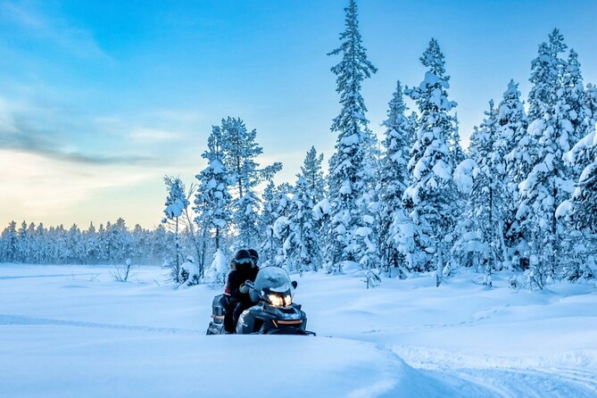 Snowmobile Tour with Small Group in Remote Wilderness 3 Hours - Key Points