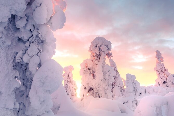 Snowmobile Tours in Rovaniemi Lapland - Key Points