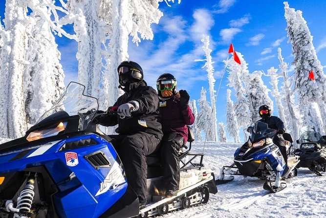 Snowmobiles Rides in the Carpathian and Winter Sports in Azuga - What to Expect: A Closer Look at the Experience