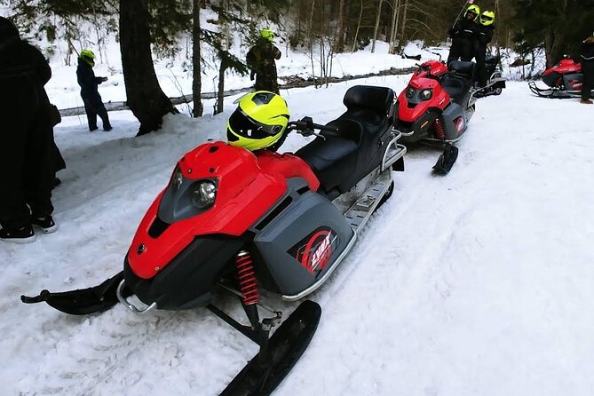 Snowmobiles Rides in the Carpathian and Winter Sports in Azuga - Who Will Love This Tour?