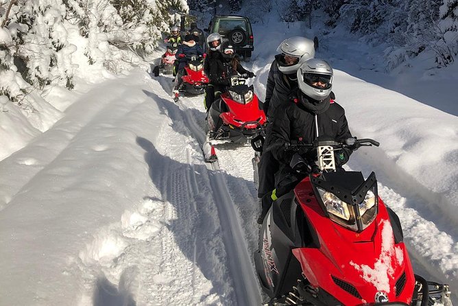 SnowMobiles Tour in Carpathian Mountains - Inclusions and Pickup Details