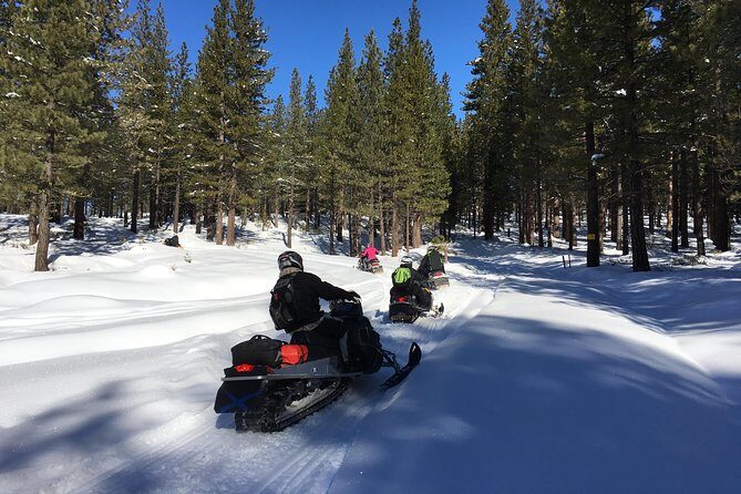 Snowmobiling Packages in the Sierra's from Reno, Nevada - Summary of the Experience