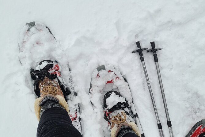 Snowshoe Adventure Frozen Falls and Firelight Tour - Snowshoe Adventure Frozen Falls and Firelight Tour: An Authentic Yukon Winter Experience
