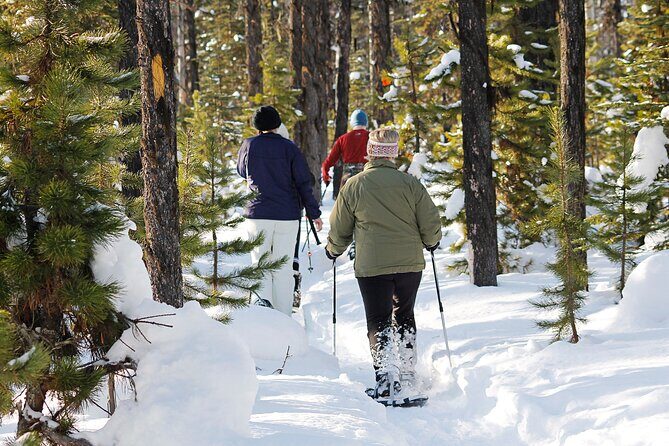 Snowshoe Adventure Frozen Falls and Firelight Tour - Practical Tips for Travelers