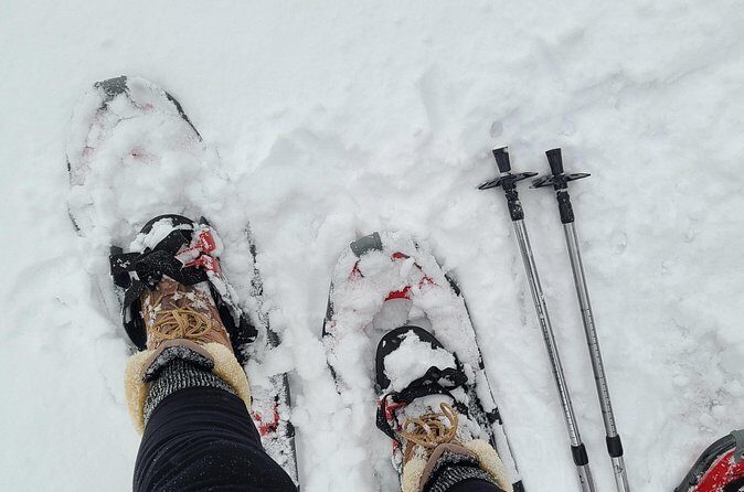 Snowshoe Adventure Frozen Falls and Firelight Tour - FAQ
