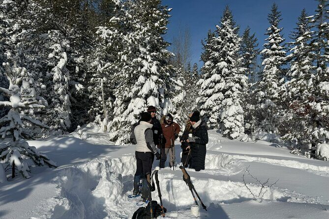 Snowshoe Day Tour In Glacier National Park - Practical Tips for Travelers