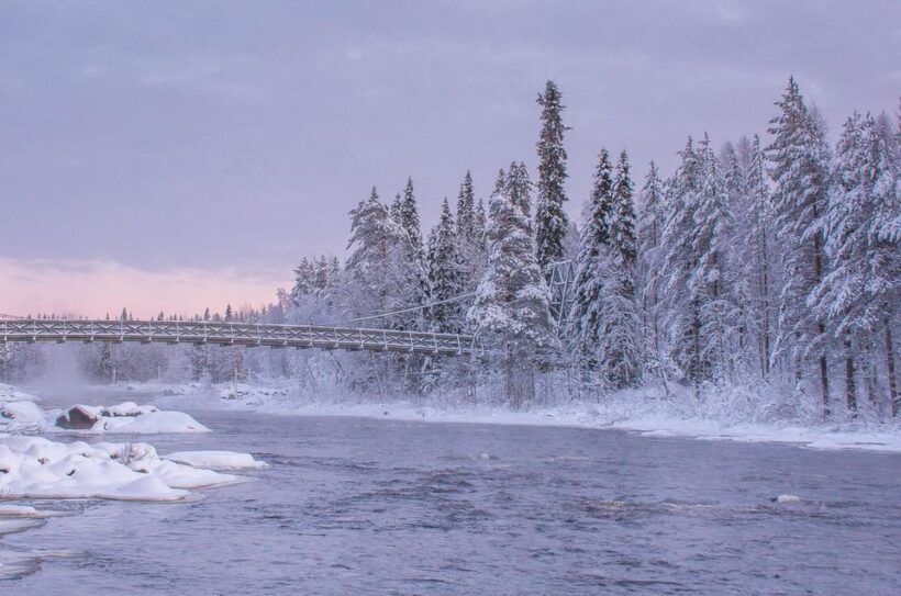 Snowshoe experience with traditional beverages in Lapland - Final Thoughts