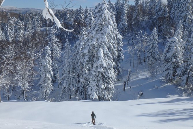 Snowshoe Hike Tour From Sapporo - Tour Duration and Physical Requirements