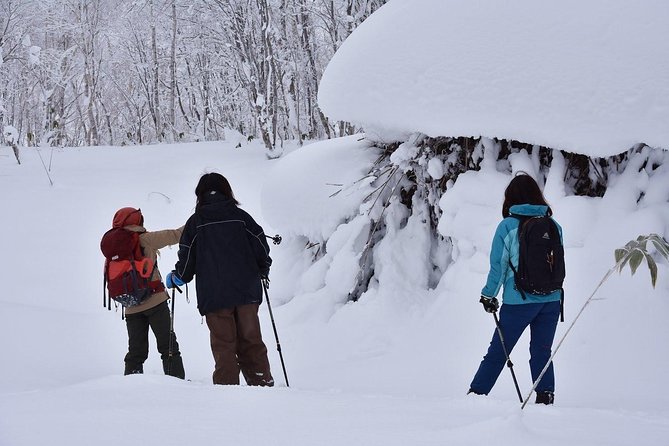 Snowshoe Hike Tour From Sapporo - Booking and Cancellation Policy