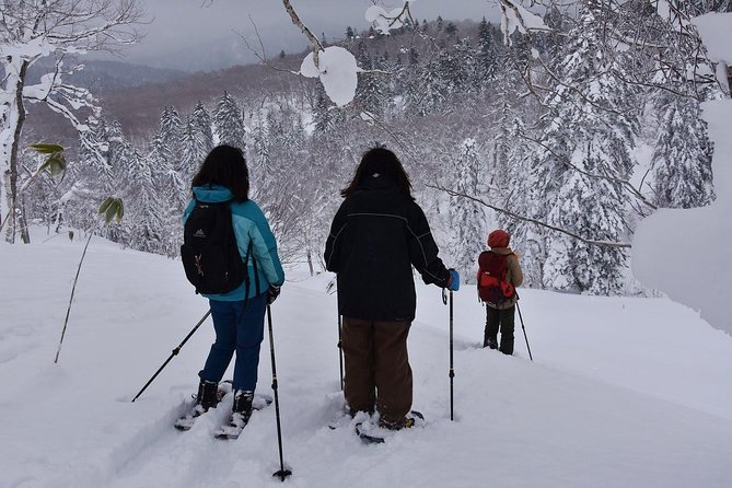 Snowshoe Hike Tour From Sapporo - Reasons to Embark on the Sapporo Snowshoe Hike Adventure