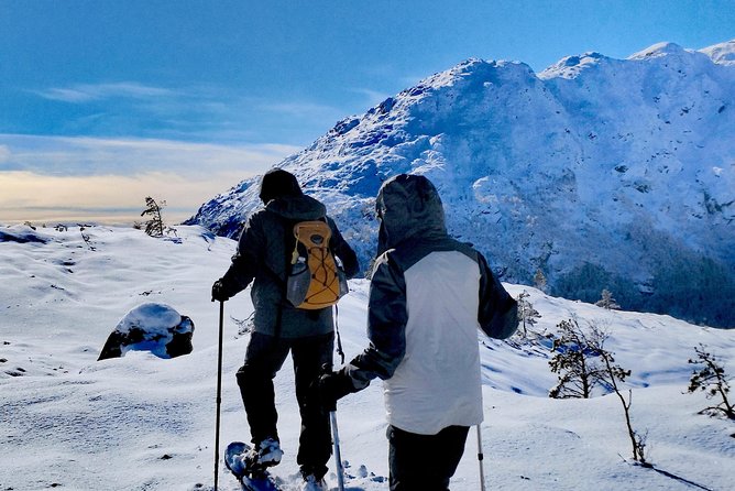 Snowshoe Hiking Bergen Public - Norway Mountain Guides - Customer Feedback and Experiences