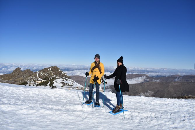 Snowshoe hiking in Sierra Nevada (Granada) - The Sum Up: Who Will Love This Tour?