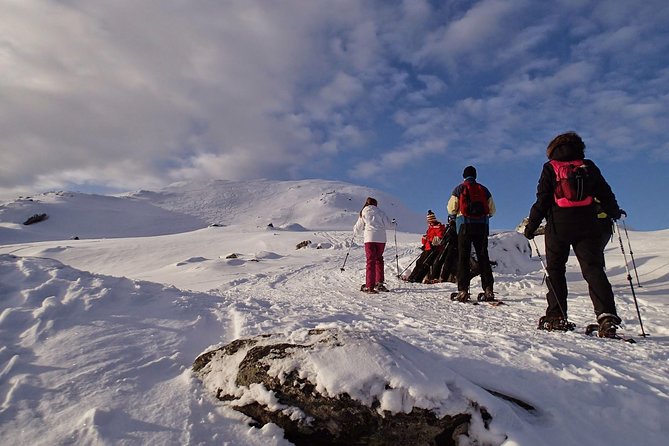 Snowshoe Hill Hike in Tromsø - Activity Details