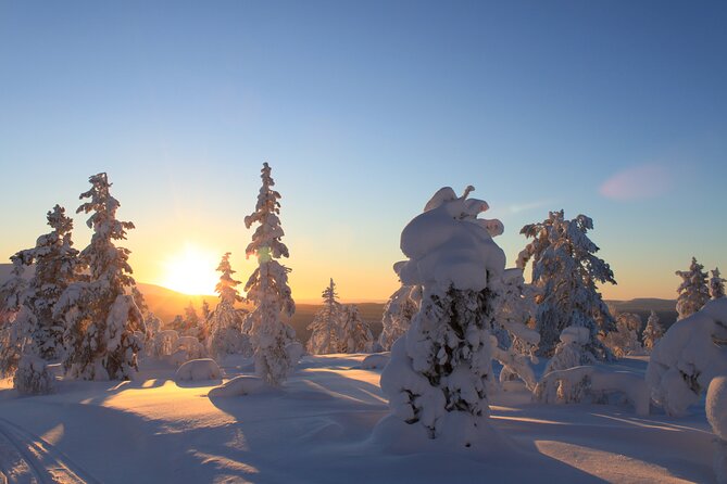 Snowshoe in a Winter Forest - Embracing Natures Tranquility