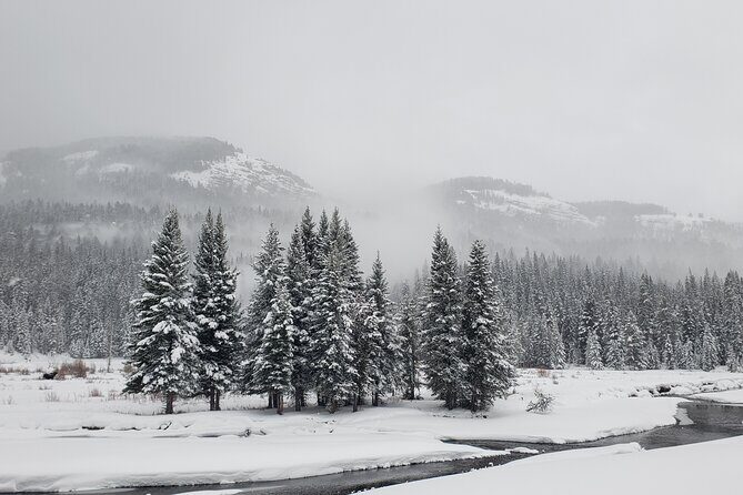 Snowshoe or XC Ski in North Yellowstone (Half Day) - Who Should Consider This Tour?