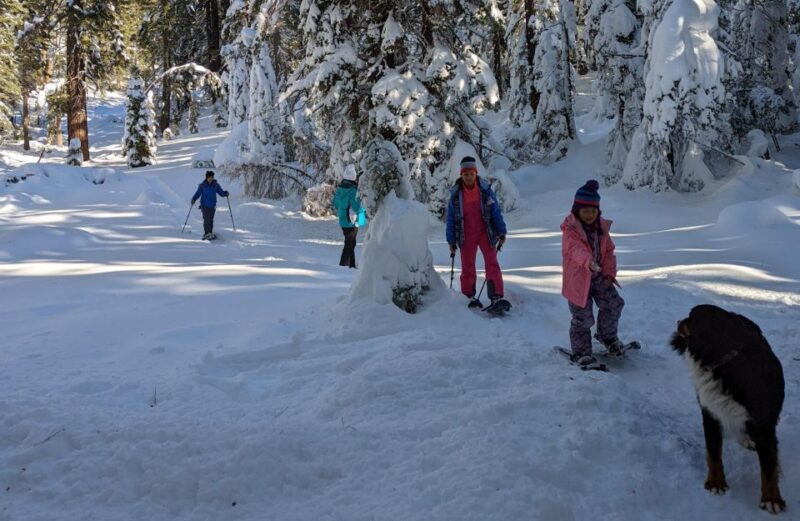 Snowshoe Rentals and Self Guided tour on Private Trails - Authenticity and Value
