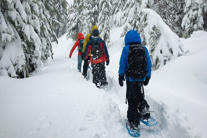 Snowshoe Rentals in South Lake Tahoe - Exploring the Snowshoe Rental Experience in Lake Tahoe