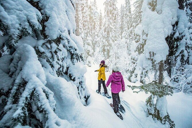 Snowshoe Rentals in South Lake Tahoe - Why Snowshoeing in Tahoe Is a Must-Do