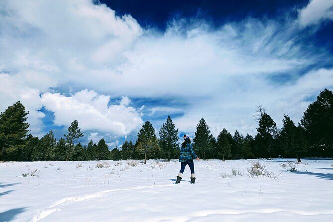 Snowshoe Tour Big Bear Lake with Hot Chocolate - Who Will Love This Tour?