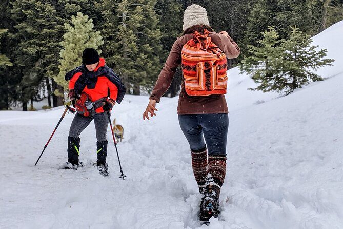 Snowshoe Tour Big Bear Lake with Hot Chocolate - Practical Tips for Participants