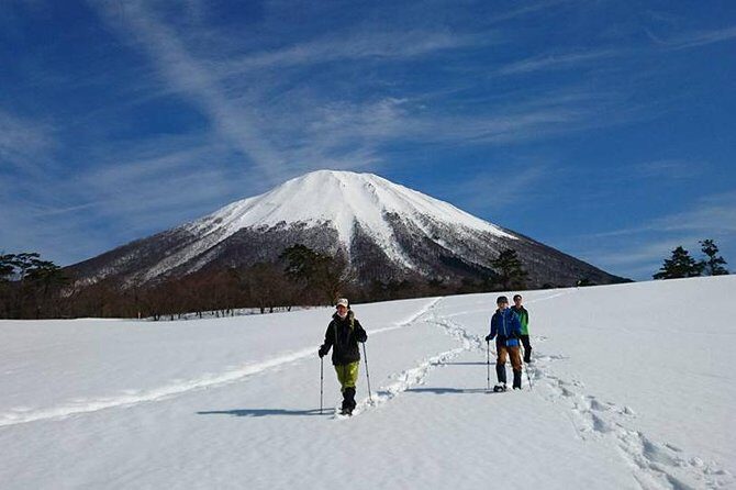 Snowshoe Tour - Itinerary Breakdown: What to Expect