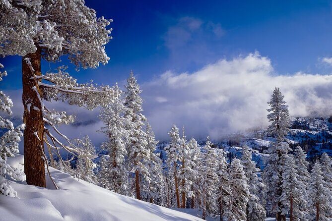 Snowshoe Tour in the Lake Tahoe Mountains - Final Thoughts: Is It Worth It?