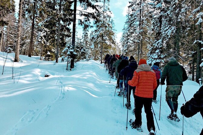 Snowshoe Tour in Winter Wonderland - Oslo - Reviews and Feedback
