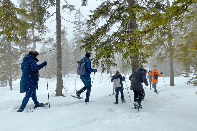 Snowshoe Tour in Winter Wonderland - Oslo - Pricing and Booking