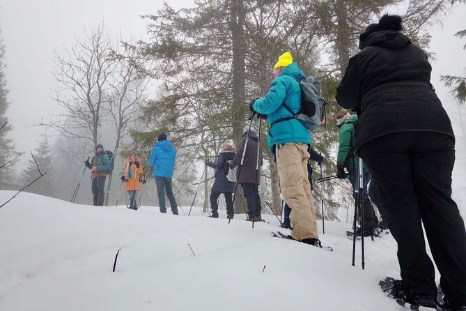 Snowshoe Tour in Winter Wonderland - Oslo - Packing and Preparation