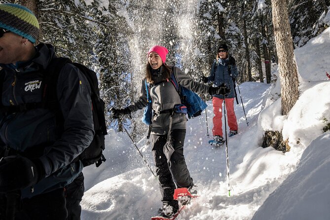 Snowshoe Tour Isenfluh - Meeting Point Details and How to Get There