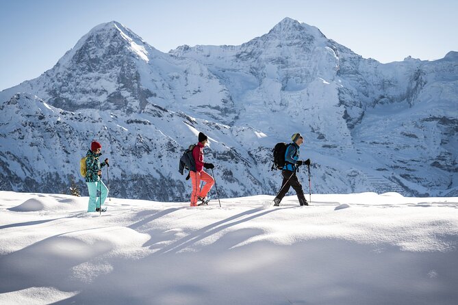 Snowshoe Tour Isenfluh - Highlights From Traveler Feedback and Reviews