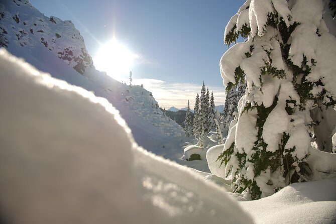 Snowshoe Tours - An In-Depth Look at Snowshoeing in Whistler