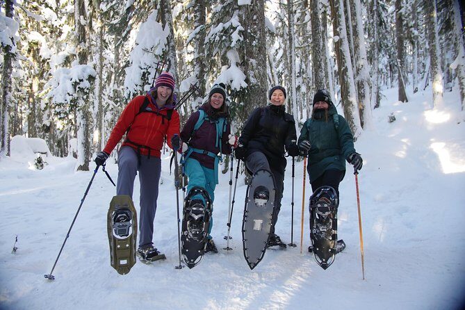 Snowshoe Tours - Final Thoughts