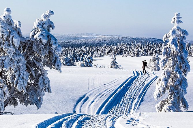 Snowshoe Trip for Searching Arctic Animals - Practical Details and Value