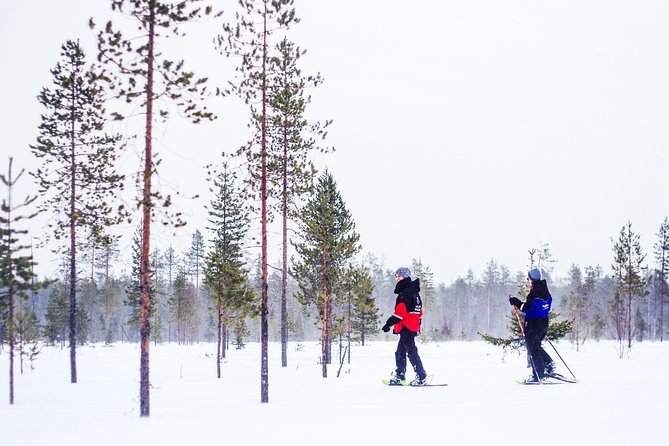 Snowshoe Trip in the Forest - Final Thoughts: Who Should Book This Tour?