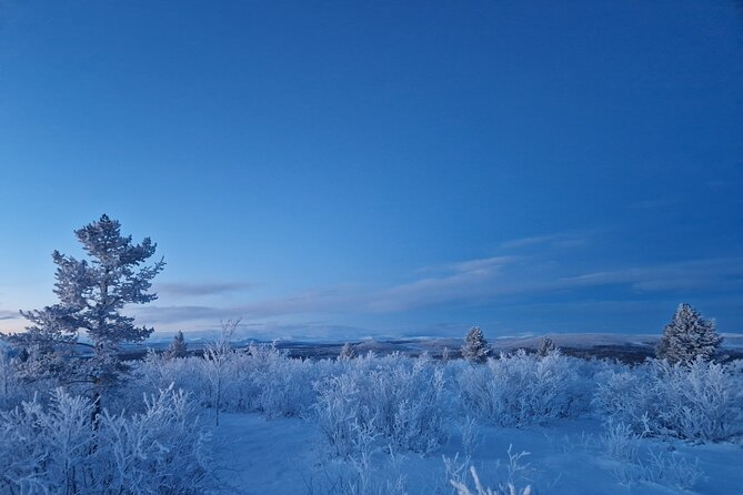 Snowshoe up a Mountain - Scenic Views and Animal Tracks