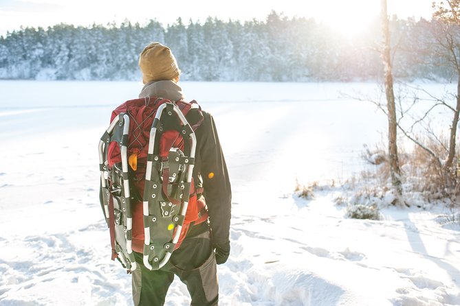 Snowshoe Winter Hike From Stockholm - About Your Stay