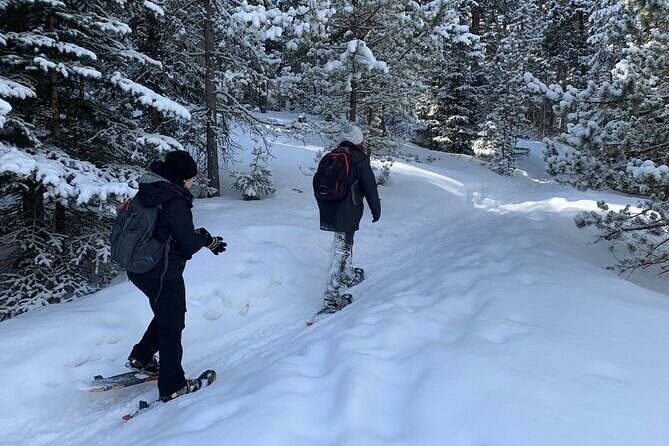 Snowshoeing Adventure in the Rocky Mountains Close to Denver - The Experience — What to Expect