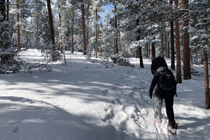 Snowshoeing Adventure in the Rocky Mountains Close to Denver - The Sum Up