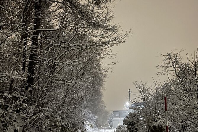 Snowshoeing and Onsen Adventures in a Winter Wonderland -Sapporo. - Participant Testimonials and Experiences