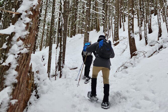 Snowshoeing at Crystal Mountain by Mount Rainier - Snowshoeing at Crystal Mountain by Mount Rainier: An Adventurous Day Out