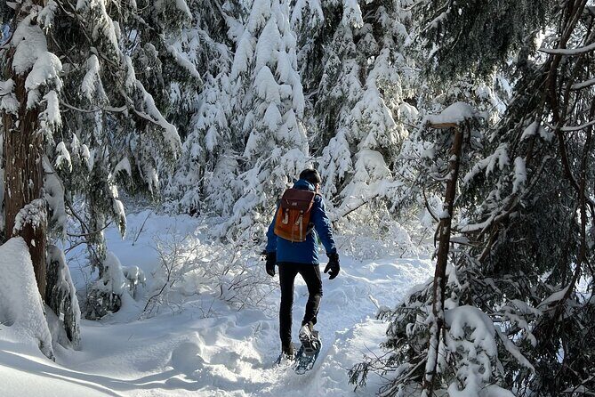 Snowshoeing at The Top of The Sea to Sky Gondola - Practical Tips for Travelers