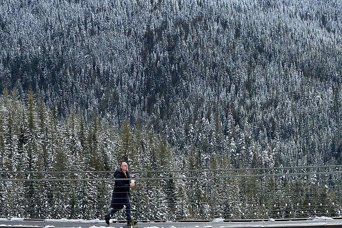Snowshoeing at The Top of The Sea to Sky Gondola - Who Will Love This Tour?