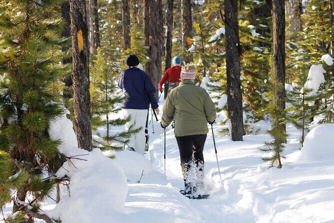 Snowshoeing at The Top of The Sea to Sky Gondola - The Sum Up