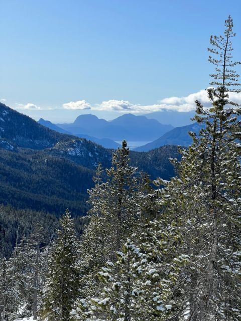 Snowshoeing At The Top Of The Sea To Sky Gondola - The Value of the Tour