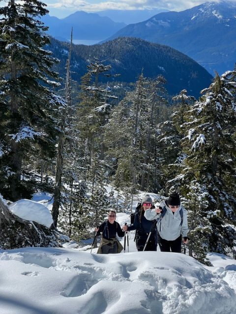 Snowshoeing At The Top Of The Sea To Sky Gondola - Practical Tips for Participants