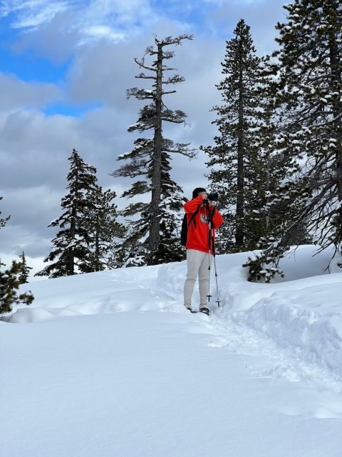 Snowshoeing At The Top Of The Sea To Sky Gondola - Authentic Experiences and What Travelers Say