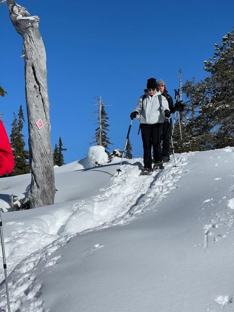 Snowshoeing At The Top Of The Sea To Sky Gondola - The Sum Up