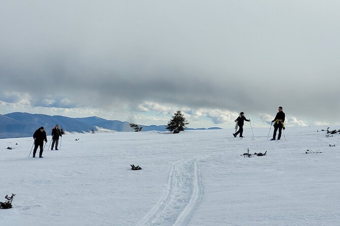 Snowshoeing Fun Tour from Cluj Napoca - Who Should Consider This Tour?